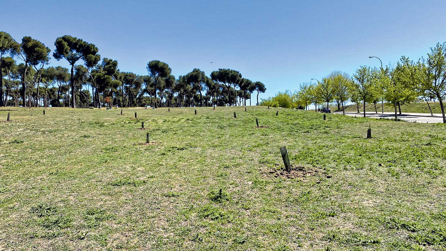 Pinar de San José: el Ayuntamiento me ignora